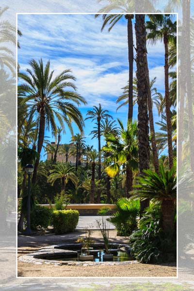 Portal Temático de Elche | Información de Elche | Elche/Elx